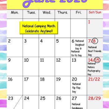 Bizarre and FUN National Holidays to Celebrate your Staff (JUNE BUNDLE ...