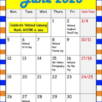 Bizarre and FUN National Holidays to Celebrate your Staff (JUNE BUNDLE ...