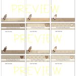 FROM THE DESK OF THE BILINGUAL TEACHER: Stationery with Matching Note ...