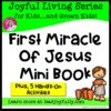 SAUL BECOMES PAUL Mini Book with SIX Hands-On Activities: Joyful Living ...